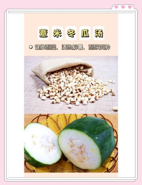 薏米冬瓜汤能减肥吗_薏米冬瓜汤的功效与作用-第3张图片-山城妙识