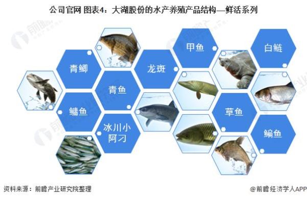 鲢鳙多少钱一斤2021_鲢鳙价格走势-第3张图片-山城妙识 鲢鳙多少钱一斤2021_鲢鳙价格走势-第3张图片-山城妙识