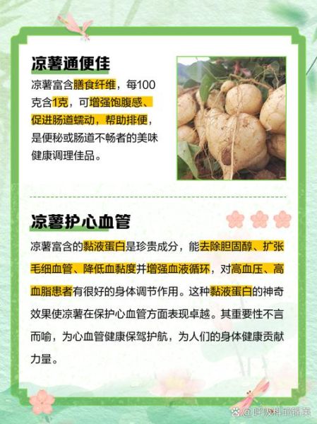 白地瓜的功效与作用_白地瓜的营养价值-第1张图片-山城妙识 白地瓜的功效与作用_白地瓜的营养价值-第1张图片-山城妙识