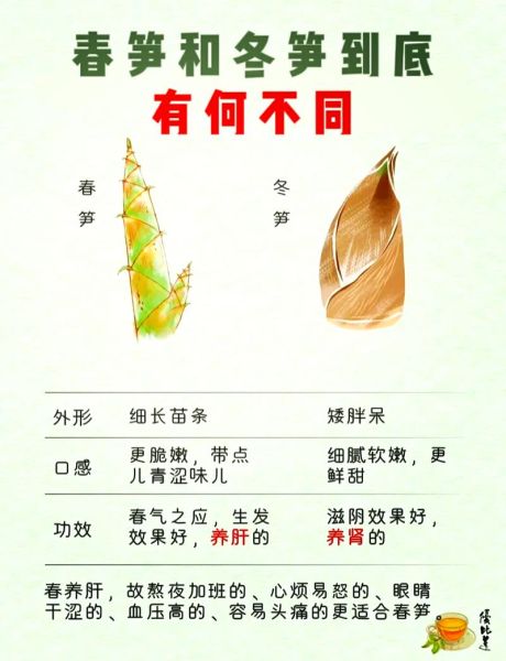 春笋和冬笋哪个好吃_春笋和冬笋的区别-第1张图片-山城妙识 春笋和冬笋哪个好吃_春笋和冬笋的区别-第1张图片-山城妙识