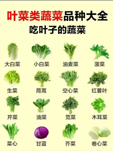 100种蔬菜大全图片和名字_哪些蔬菜适合新手种植-第1张图片-山城妙识 100种蔬菜大全图片和名字_哪些蔬菜适合新手种植-第1张图片-山城妙识