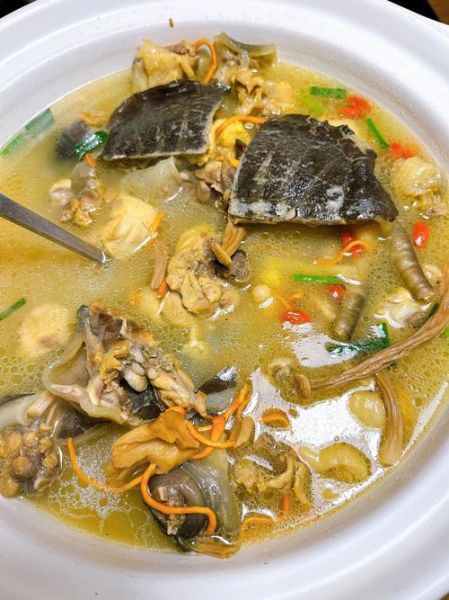 甲鱼怎么吃最有营养_甲鱼汤怎么炖最补-第1张图片-山城妙识 甲鱼怎么吃最有营养_甲鱼汤怎么炖最补-第1张图片-山城妙识