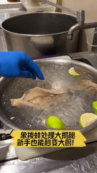 象拔蚌内脏怎么处理_象拔蚌内脏能吃吗-第3张图片-山城妙识