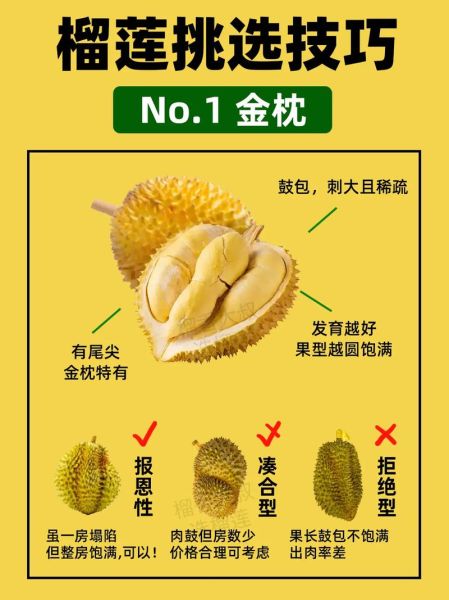 榴莲官方网站入口在哪_如何辨别真假官网-第1张图片-山城妙识 榴莲官方网站入口在哪_如何辨别真假官网-第1张图片-山城妙识