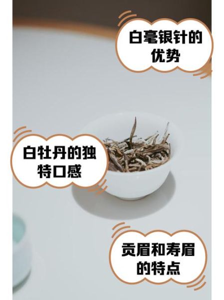 白茶有哪些种类_白茶哪种好喝-第3张图片-山城妙识 白茶有哪些种类_白茶哪种好喝-第3张图片-山城妙识