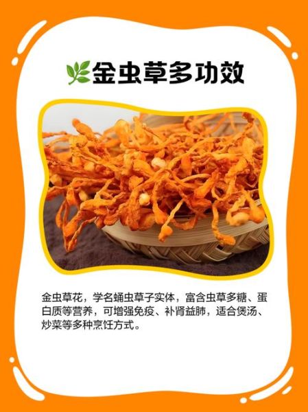 金虫草多少钱一斤_金虫草价格影响因素-第3张图片-山城妙识