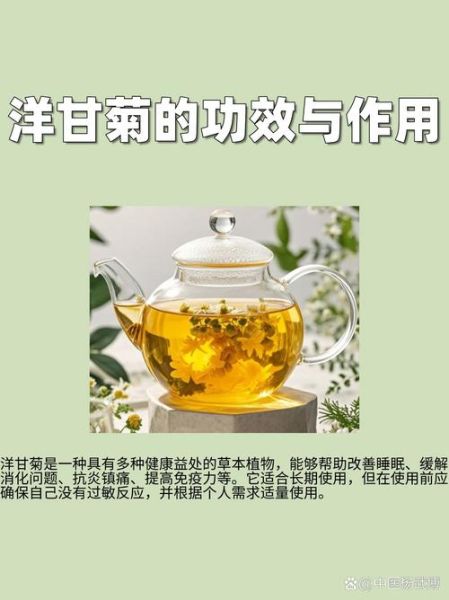 改善睡眠的中药有哪些_怎么用效果最好-第3张图片-山城妙识 改善睡眠的中药有哪些_怎么用效果最好-第3张图片-山城妙识