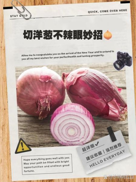 洋葱怎么切成片_洋葱切片不辣眼的方法-第2张图片-山城妙识 洋葱怎么切成片_洋葱切片不辣眼的方法-第2张图片-山城妙识