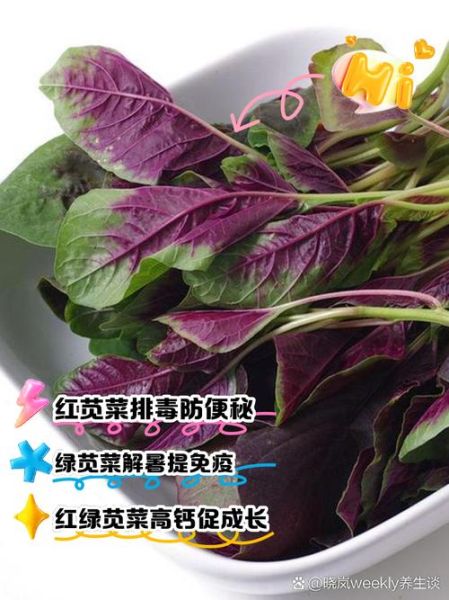 苋菜红的好还是绿的好_营养区别与选购技巧-第1张图片-山城妙识 苋菜红的好还是绿的好_营养区别与选购技巧-第1张图片-山城妙识