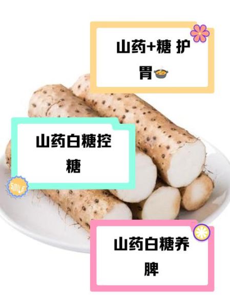 白糖蒸山药怎么做_白糖蒸山药的功效与禁忌-第1张图片-山城妙识 白糖蒸山药怎么做_白糖蒸山药的功效与禁忌-第1张图片-山城妙识