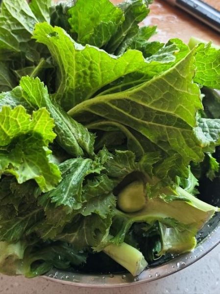 芥菜怎么吃_芥菜的家常做法大全-第2张图片-山城妙识 芥菜怎么吃_芥菜的家常做法大全-第2张图片-山城妙识