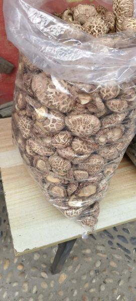 花菇价格多少钱一斤_花菇为什么这么贵-第3张图片-山城妙识 花菇价格多少钱一斤_花菇为什么这么贵-第3张图片-山城妙识