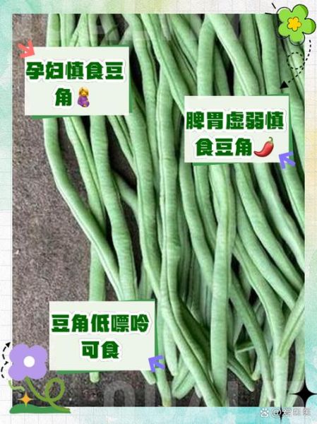 吃长豆角的好处和坏处_长豆角吃多了会怎样-第2张图片-山城妙识 吃长豆角的好处和坏处_长豆角吃多了会怎样-第2张图片-山城妙识