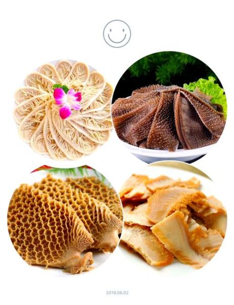 毛肚是什么东西_毛肚和牛肚有什么区别-第3张图片-山城妙识