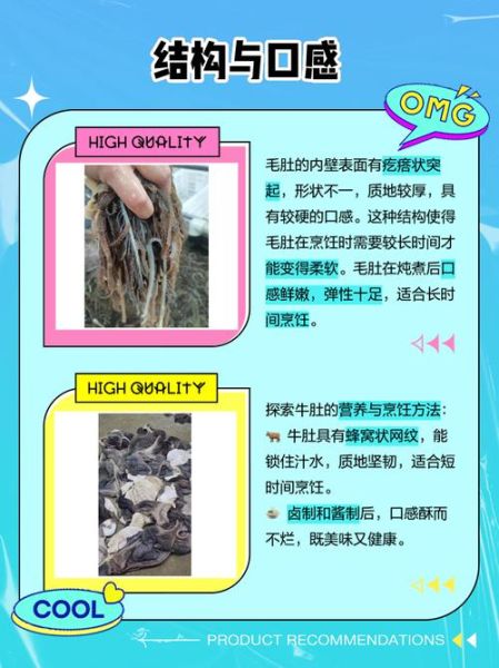 毛肚是什么东西_毛肚和牛肚有什么区别-第1张图片-山城妙识