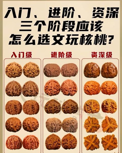 文玩核桃十大品种有哪些_如何挑选最保值-第3张图片-山城妙识