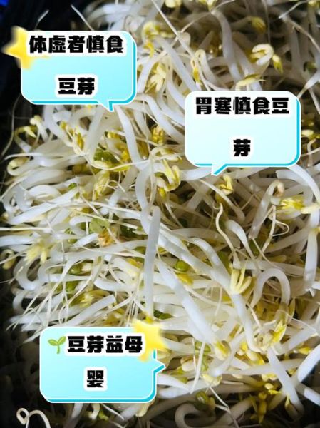 吃黄豆芽的好处与坏处_哪些人不能吃黄豆芽-第2张图片-山城妙识 吃黄豆芽的好处与坏处_哪些人不能吃黄豆芽-第2张图片-山城妙识