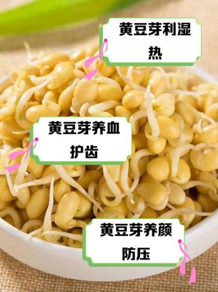 吃黄豆芽的好处与坏处_哪些人不能吃黄豆芽-第1张图片-山城妙识 吃黄豆芽的好处与坏处_哪些人不能吃黄豆芽-第1张图片-山城妙识