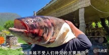 白鲢鱼为什么脏_白鲢鱼到底脏到什么程度-第1张图片-山城妙识