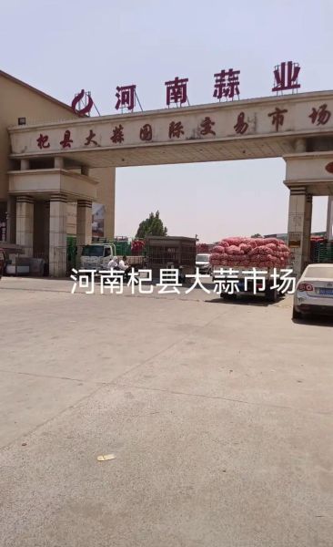 杞县大蒜今日价格_杞县大蒜多少钱一斤-第2张图片-山城妙识