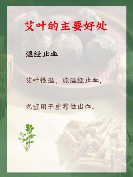 艾叶的功效与作用_艾叶的禁忌症及副作用-第2张图片-山城妙识