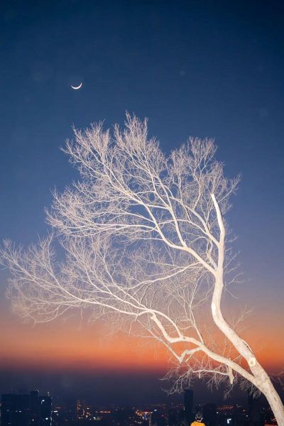 中秋节图片唯美高清哪里找_如何挑选高清月亮图-第3张图片-山城妙识