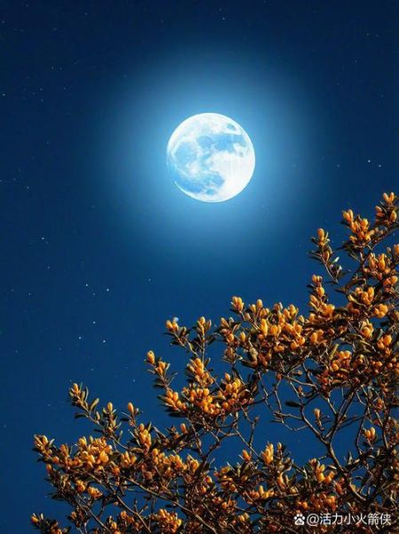 中秋节图片唯美高清哪里找_如何挑选高清月亮图-第2张图片-山城妙识
