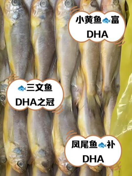 含dha高的食物排名_哪些食物dha含量最高-第1张图片-山城妙识 含dha高的食物排名_哪些食物dha含量最高-第1张图片-山城妙识