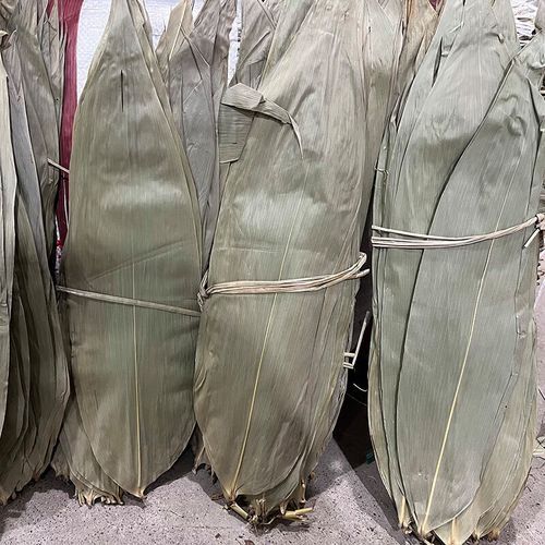 粽叶批发价格多少钱一斤_粽叶批发哪里便宜-第2张图片-山城妙识