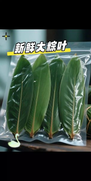 粽叶批发价格多少钱一斤_粽叶批发哪里便宜-第3张图片-山城妙识