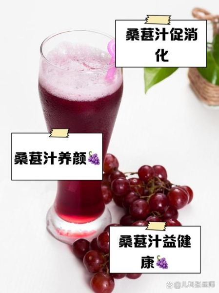 桑葚汁的功效与作用_桑葚汁可以天天喝吗-第3张图片-山城妙识