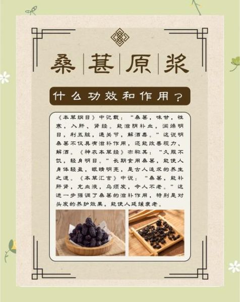 桑葚汁的功效与作用_桑葚汁可以天天喝吗-第1张图片-山城妙识