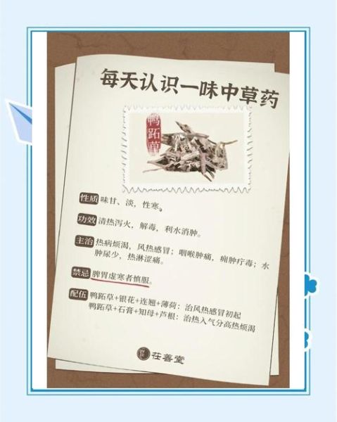 鸭跖草用什么除草剂能彻底打死_鸭跖草防治最佳药剂推荐-第3张图片-山城妙识 鸭跖草用什么除草剂能彻底打死_鸭跖草防治最佳药剂推荐-第3张图片-山城妙识
