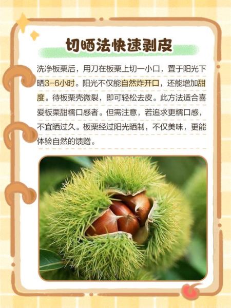 丹东大板栗怎么剥皮_丹东大板栗快速去皮技巧-第1张图片-山城妙识