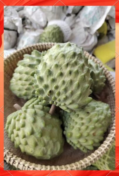 释迦果怎么吃_释迦果的吃法有哪些-第2张图片-山城妙识 释迦果怎么吃_释迦果的吃法有哪些-第2张图片-山城妙识