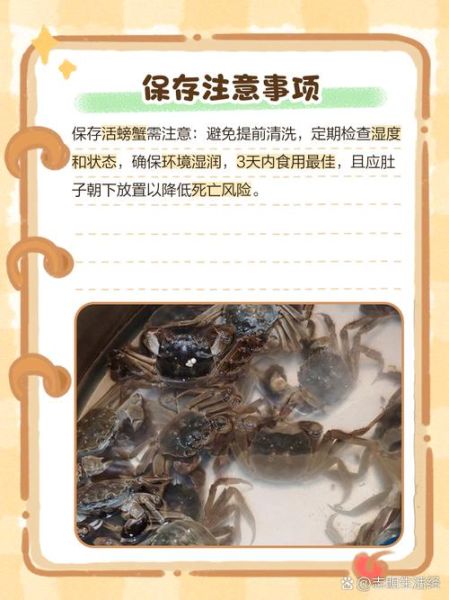 螃蟹怎么保存_螃蟹能放冰箱吗-第1张图片-山城妙识 螃蟹怎么保存_螃蟹能放冰箱吗-第1张图片-山城妙识