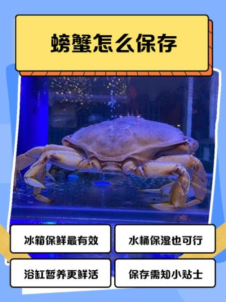 螃蟹怎么保存_螃蟹能放冰箱吗-第2张图片-山城妙识 螃蟹怎么保存_螃蟹能放冰箱吗-第2张图片-山城妙识