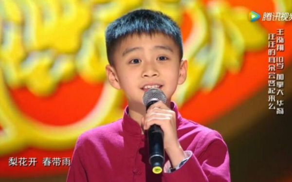 梨花颂王泓翔是谁_梨花颂王泓翔演唱版本区别-第3张图片-山城妙识