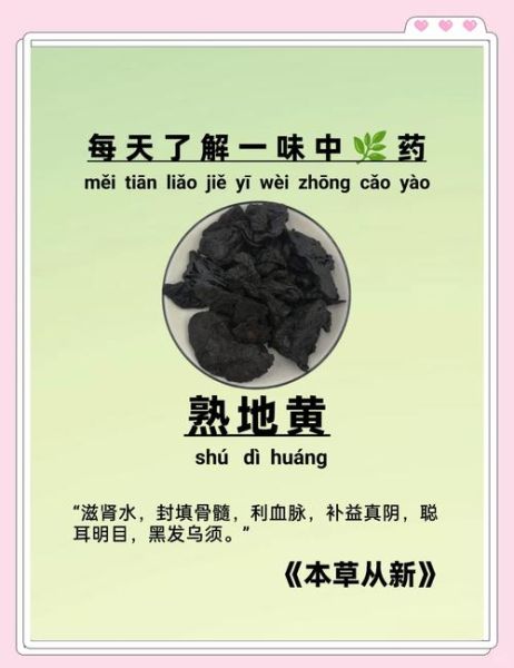 熟地黄什么人不能吃_熟地黄禁忌人群有哪些-第1张图片-山城妙识 熟地黄什么人不能吃_熟地黄禁忌人群有哪些-第1张图片-山城妙识