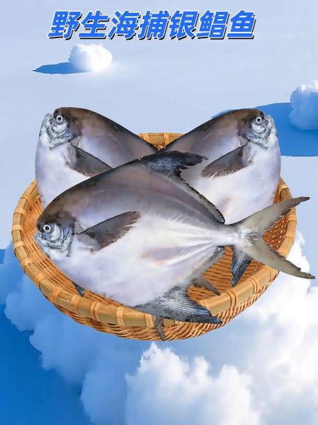 银鲳鱼好吃吗_银鲳鱼口感怎么样-第1张图片-山城妙识 银鲳鱼好吃吗_银鲳鱼口感怎么样-第1张图片-山城妙识