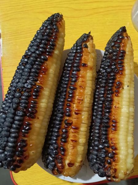 玉米没煮熟还能二次煮吗_玉米二次煮会老吗-第1张图片-山城妙识