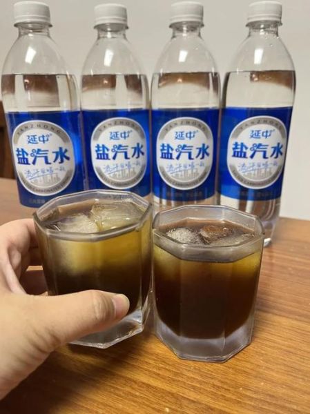 自制盐汽水的做法_盐汽水比例怎么调-第2张图片-山城妙识