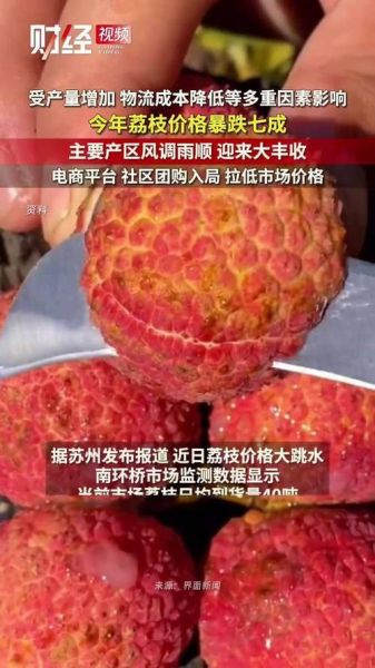 荔枝多少钱一斤_荔枝价格为什么波动这么大-第3张图片-山城妙识