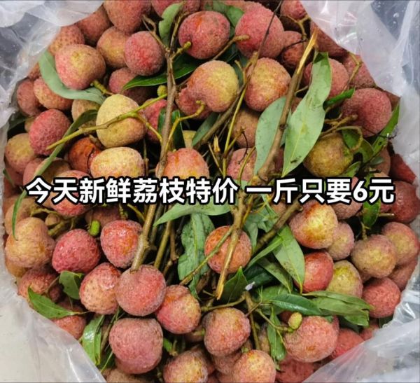 荔枝多少钱一斤_荔枝价格为什么波动这么大-第2张图片-山城妙识