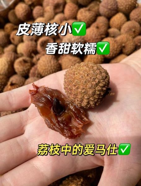 荔枝干多少钱一斤_如何挑选性价比高的荔枝干-第3张图片-山城妙识 荔枝干多少钱一斤_如何挑选性价比高的荔枝干-第3张图片-山城妙识