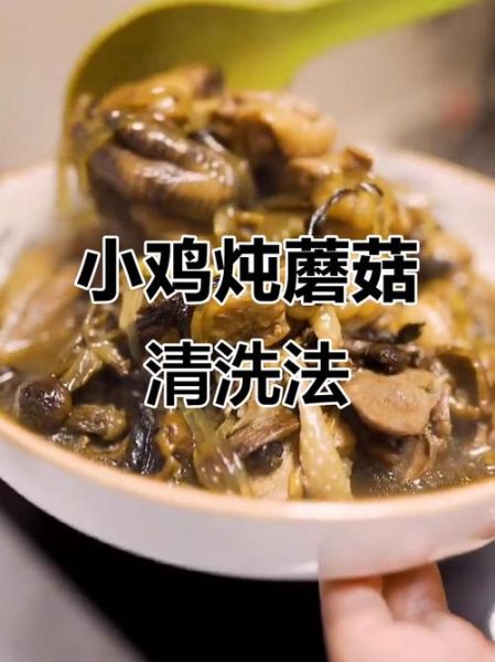 新鲜松蘑怎么清洗_松蘑炖鸡的做法窍门-第2张图片-山城妙识