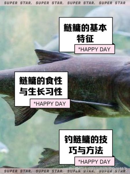 鳙怎么读拼音_鳙鱼读音是什么-第2张图片-山城妙识 鳙怎么读拼音_鳙鱼读音是什么-第2张图片-山城妙识