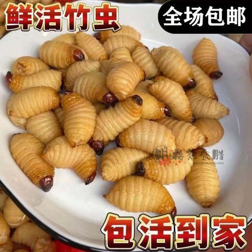 竹虫成虫长什么样_竹虫成虫能吃吗-第2张图片-山城妙识 竹虫成虫长什么样_竹虫成虫能吃吗-第2张图片-山城妙识