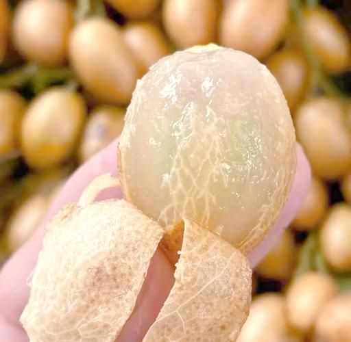 夏季水果有哪些种类_夏天吃什么水果最解暑-第3张图片-山城妙识 夏季水果有哪些种类_夏天吃什么水果最解暑-第3张图片-山城妙识