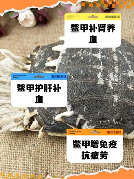 鳖甲的功效与作用及禁忌_鳖甲怎么吃效果最好-第1张图片-山城妙识 鳖甲的功效与作用及禁忌_鳖甲怎么吃效果最好-第1张图片-山城妙识